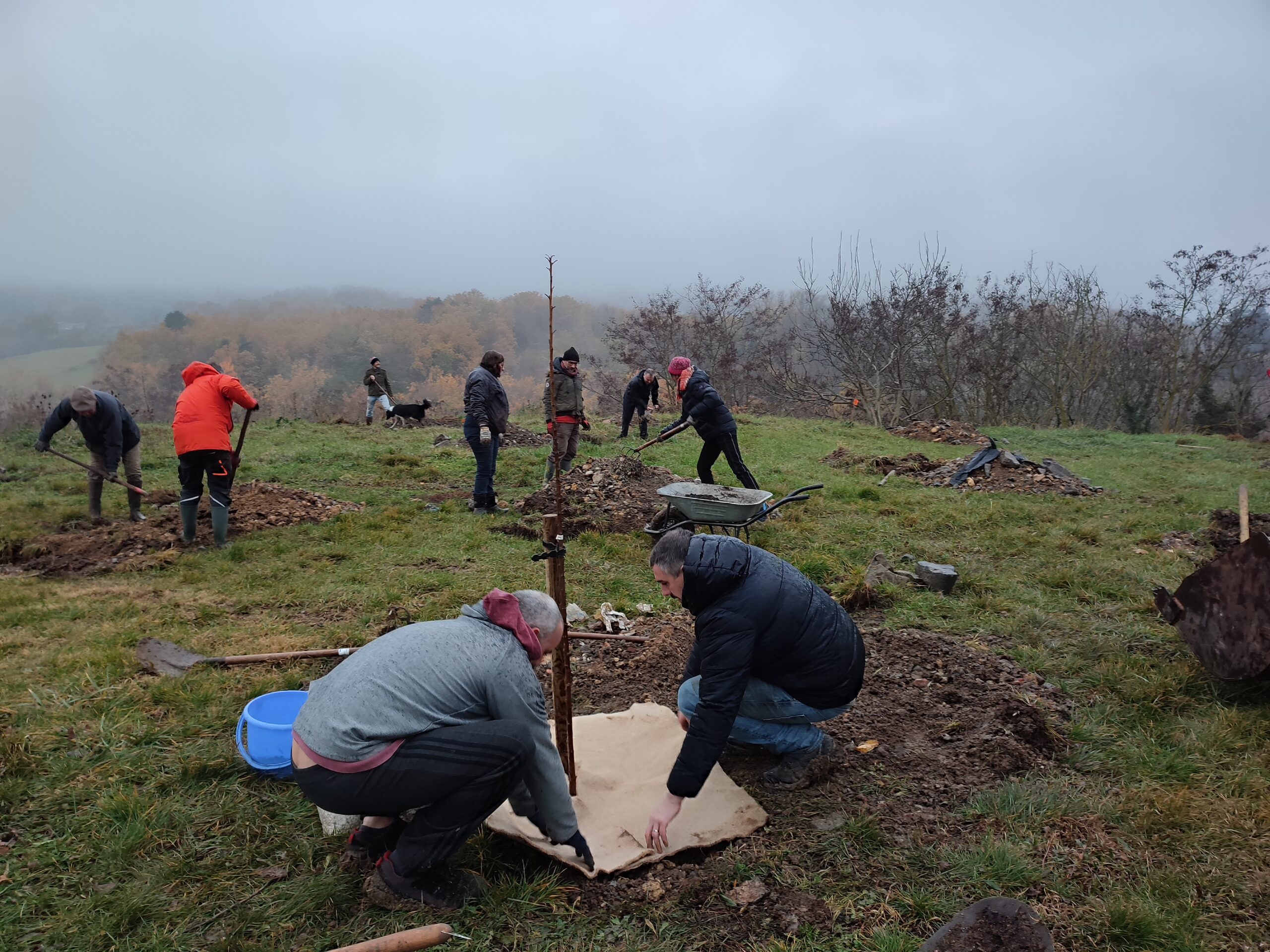 Des chantiers participatifs au service du patrimoine naturel - L'Echo ...