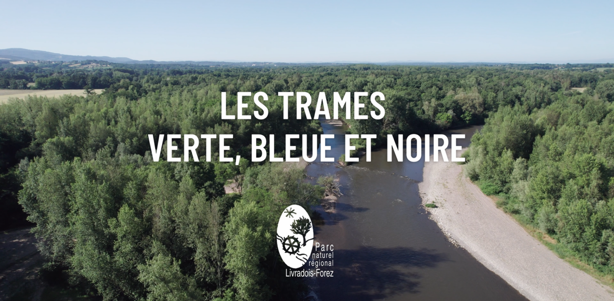 Les trames verte, bleue et noire - L'Echo du Parc Livradois-Forez