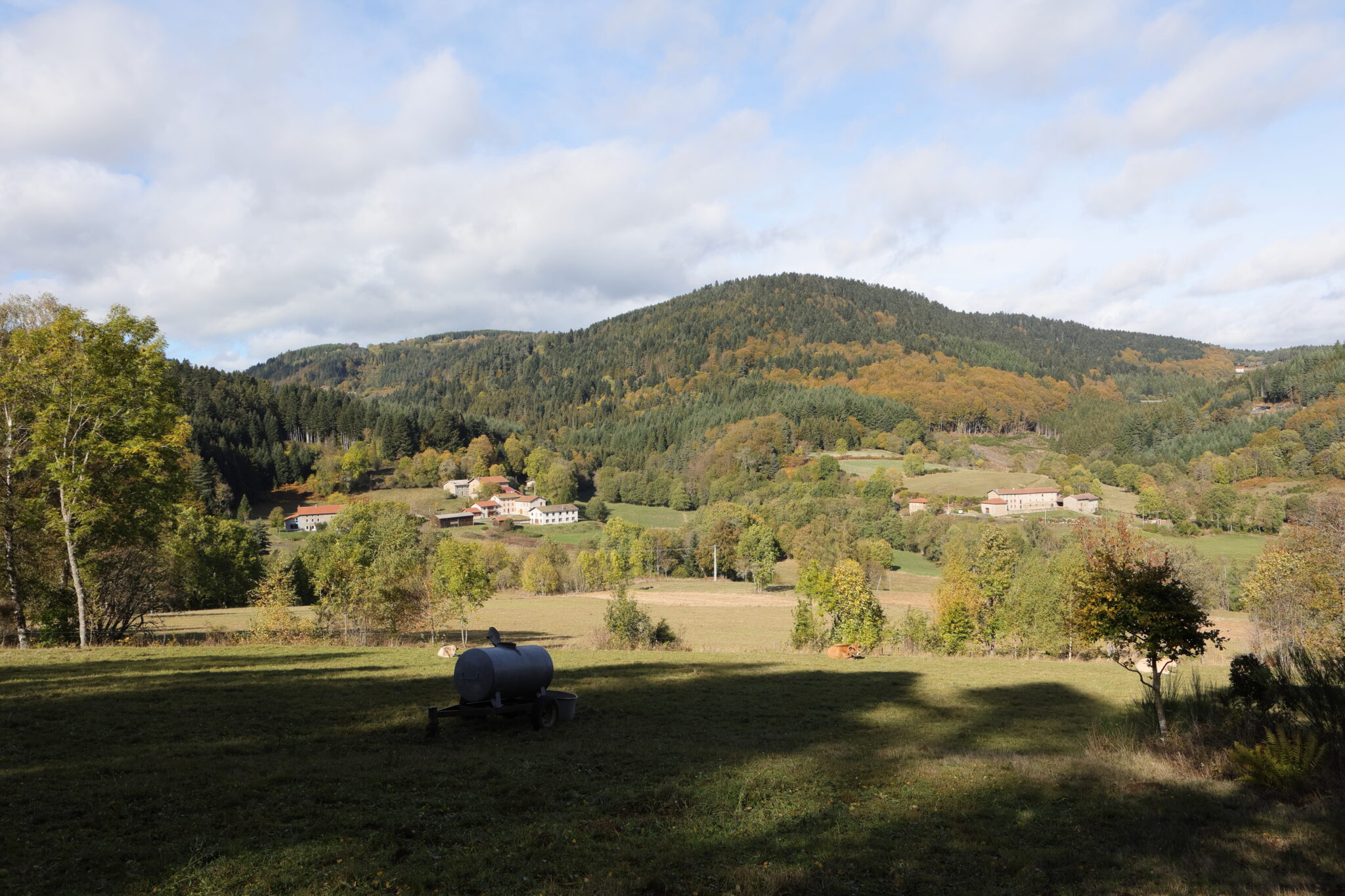 Evolution du paysage et Moule perlière - L'Echo du Parc Livradois-Forez